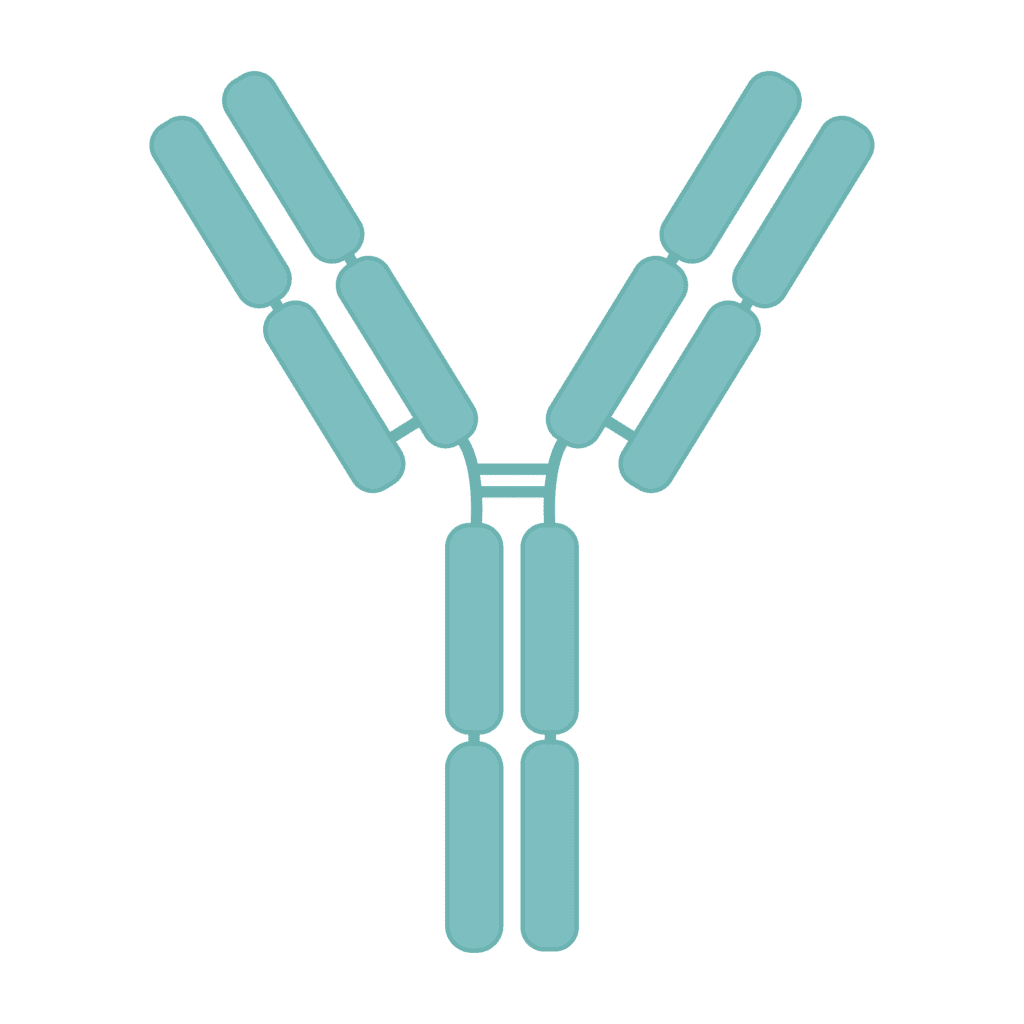 Immunotherapy Types for Drug Therapy - AIM with Immunotherapy Initiative