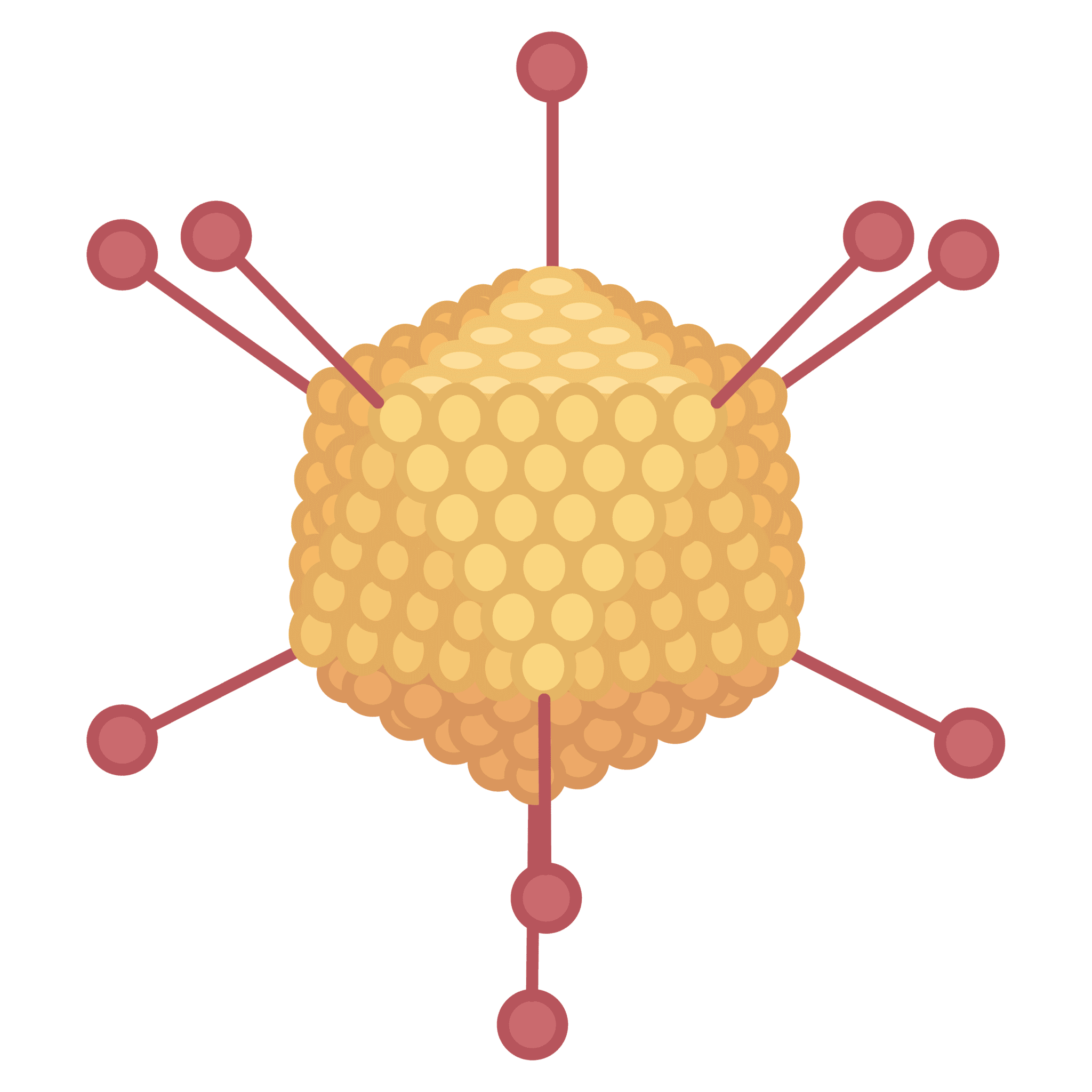 Immunotherapy Types for Drug Therapy - AIM with Immunotherapy Initiative
